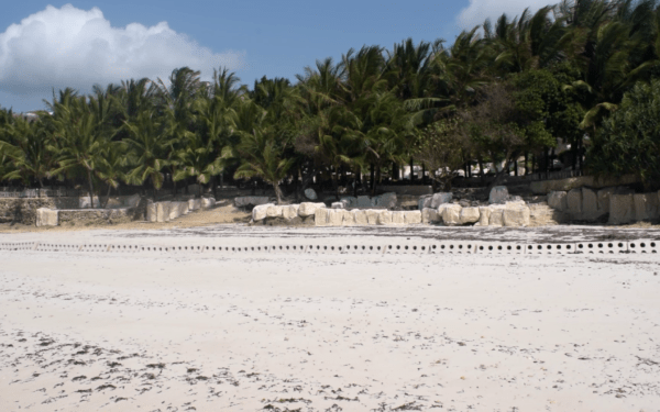 Beach Erosion Solution – Beach Erosion Solution