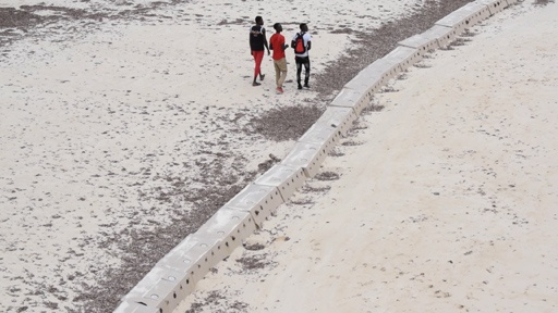 sandsaversnearcovered – Beach Erosion Solution